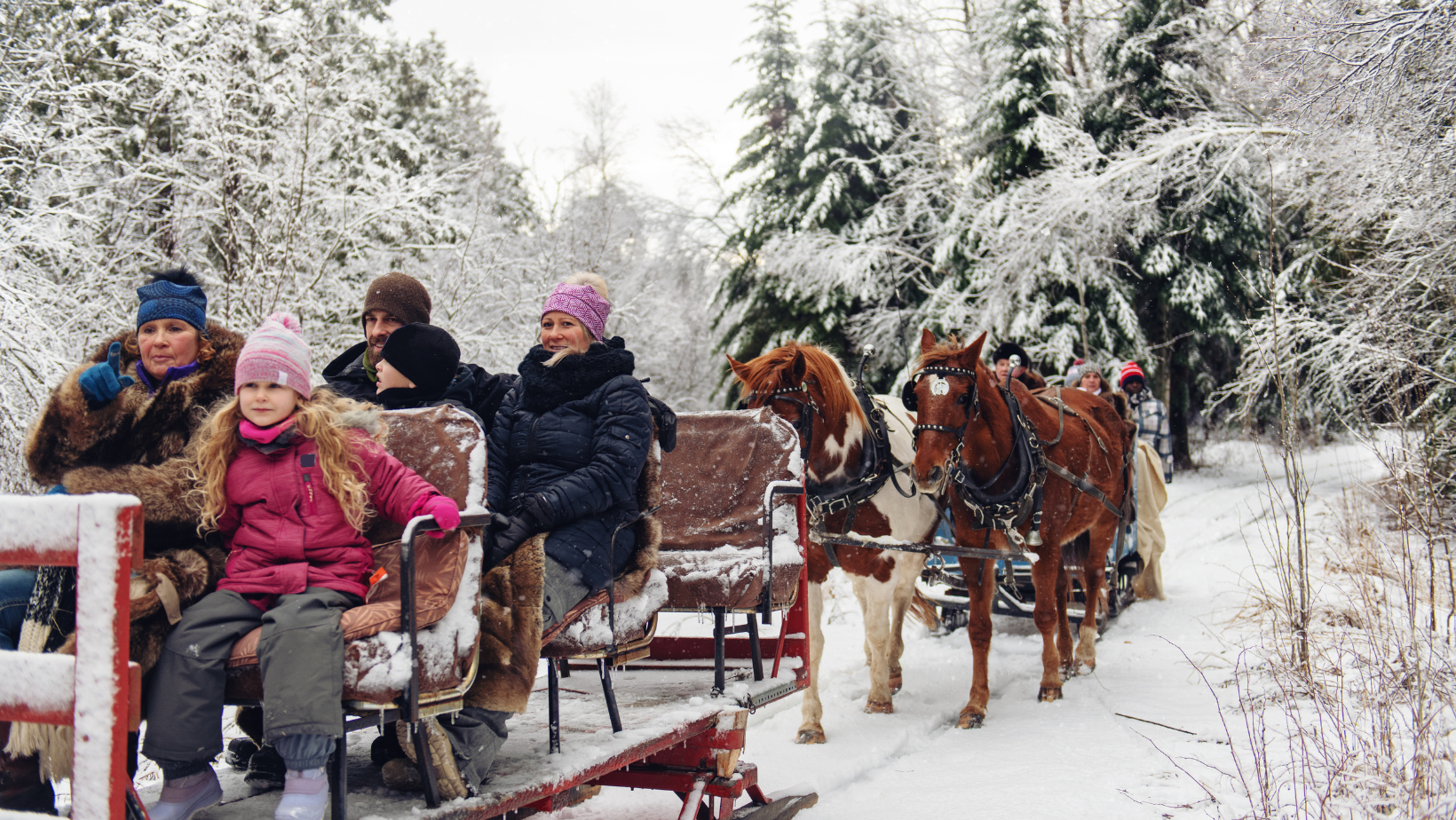 Embracing the Magic: Winter Wonderland Adventures in NH | Path Vacations